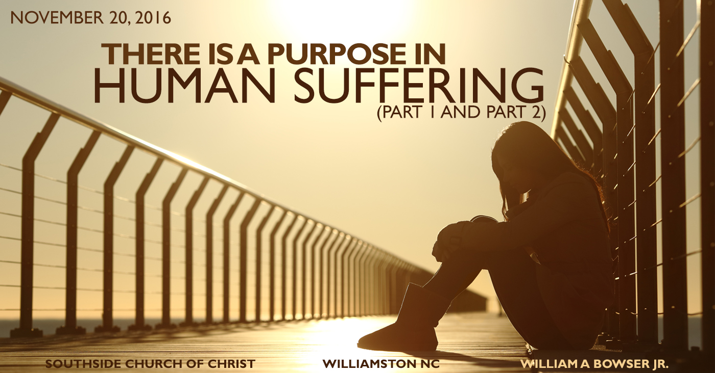 John 11 There is a Purpose in Human Suffering (Part 1 and Part 2 ...